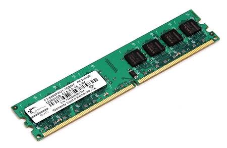 1GB G.Skill DDR2 PC2-5400 667MHz NT Series CL5 Single Module (5-5-5-15)