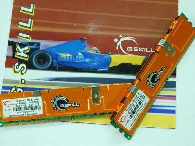 2Gb G.Skill DDR2 PC2-5400 GA Series 3-4-3-8 Dual Channel kit