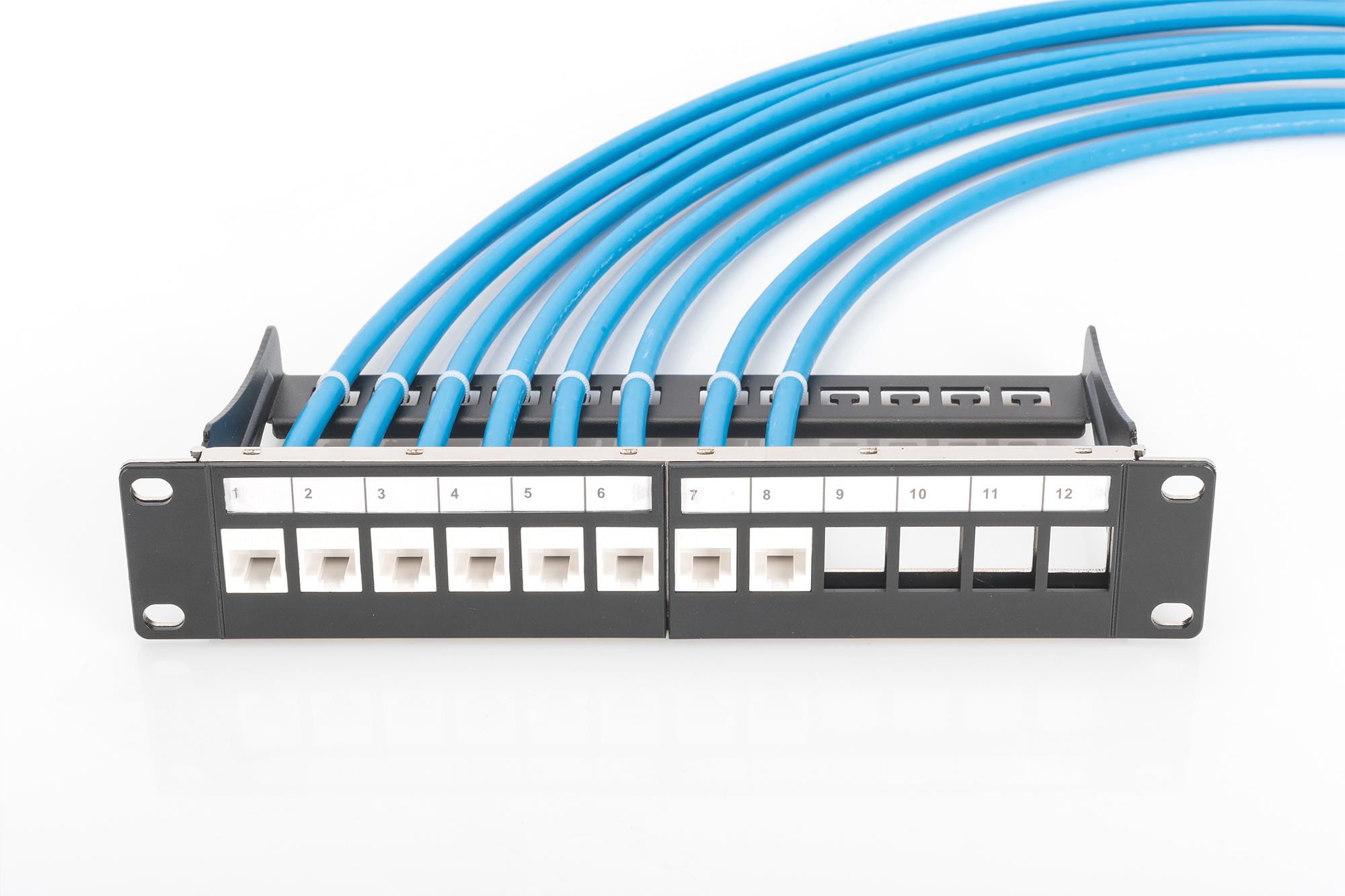 Digitus Modular Patch Panel, 12-port