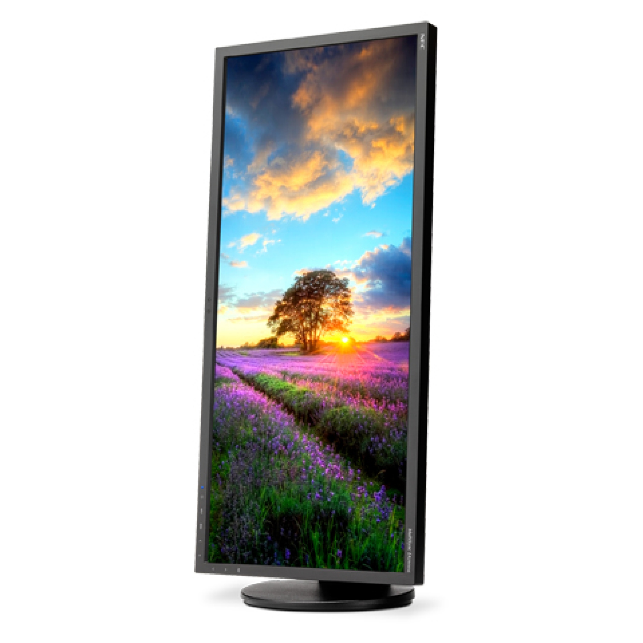 NEC 2560 x 1080 Pixels Full HD LED Computer Monitor - 29Inch