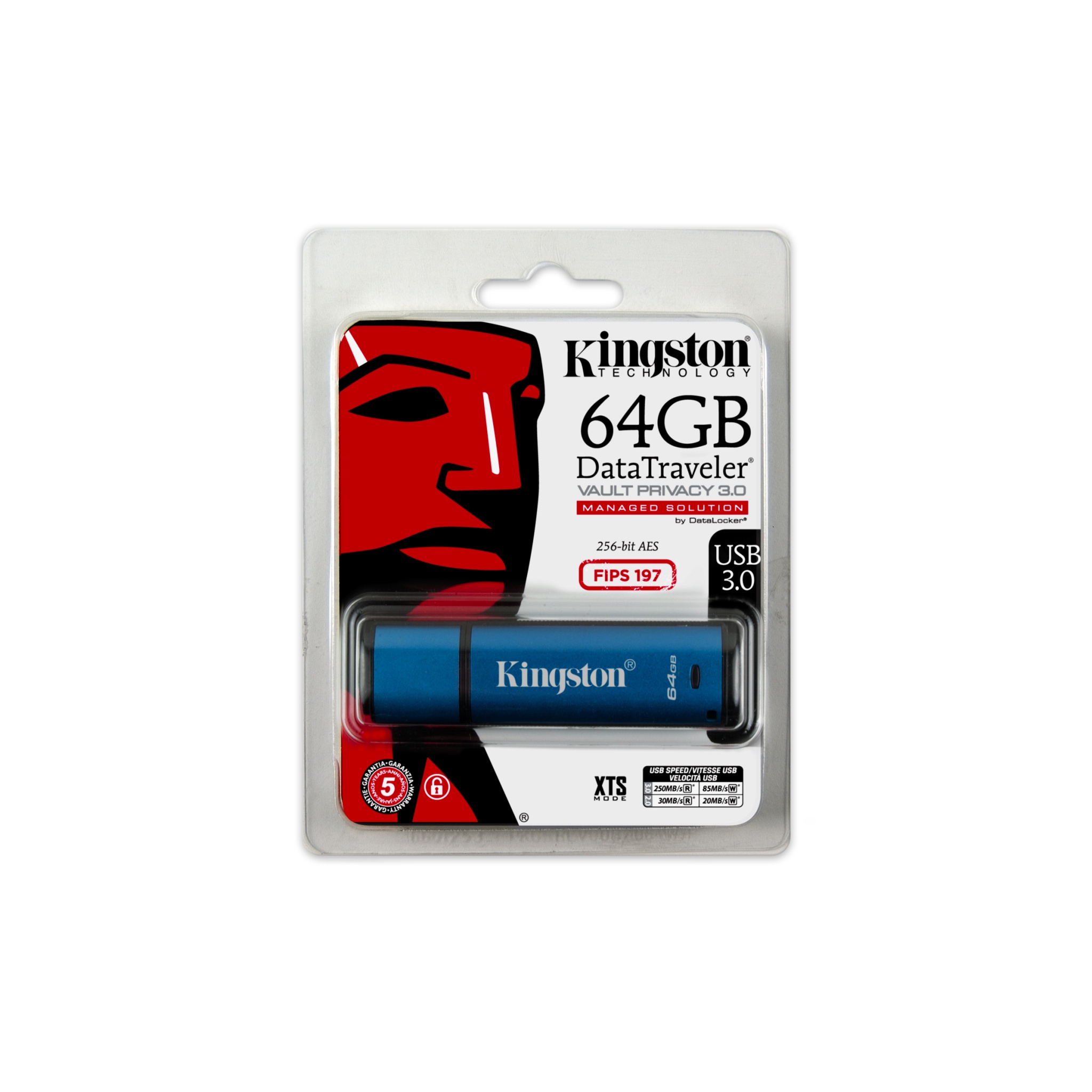 64GB Kingston DataTraveler Vault Privacy 3.0 Encrypted USB Flash Drive ...
